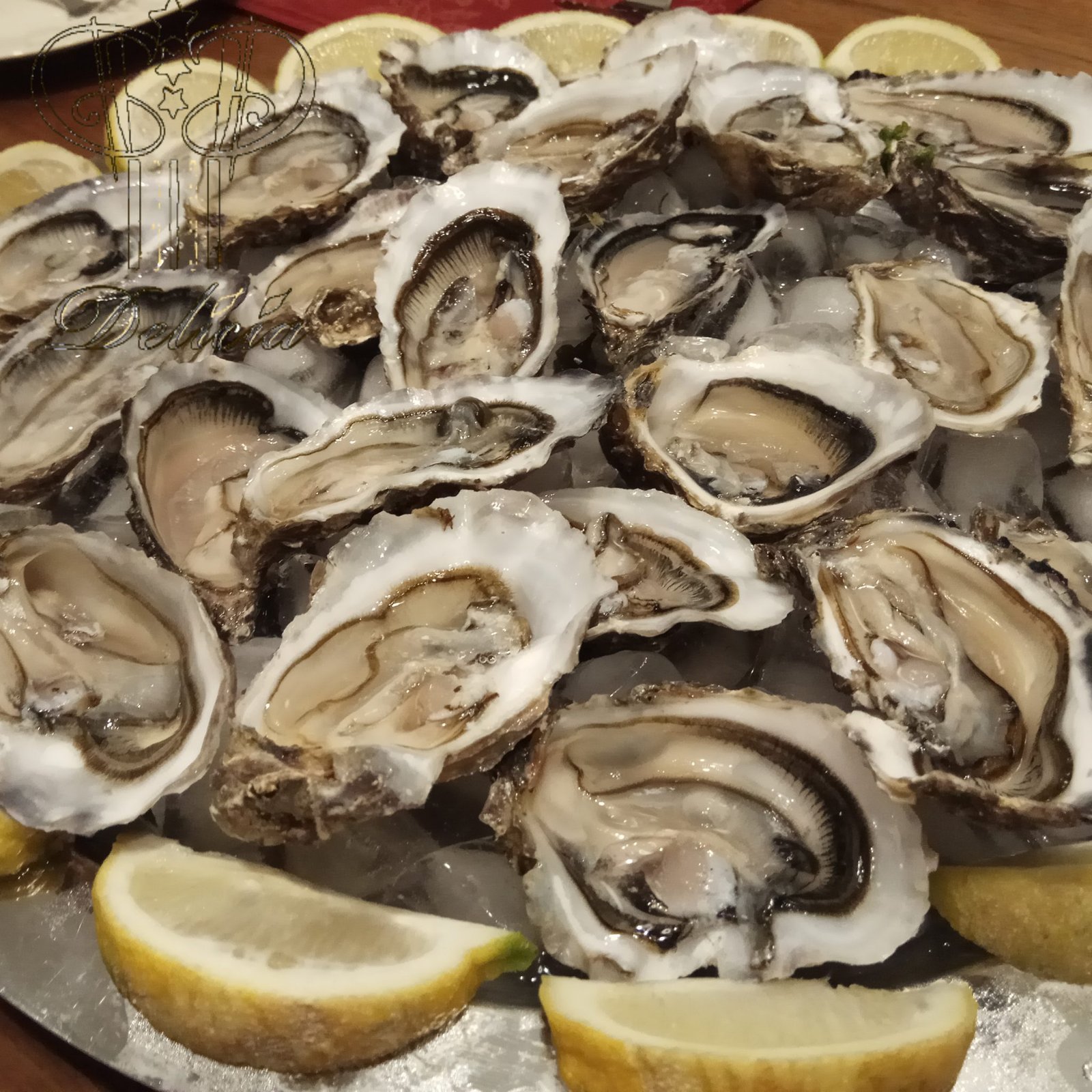 Live Oysters Fines de Claire – 50 Pieces – (choice of sizes) – Delicia